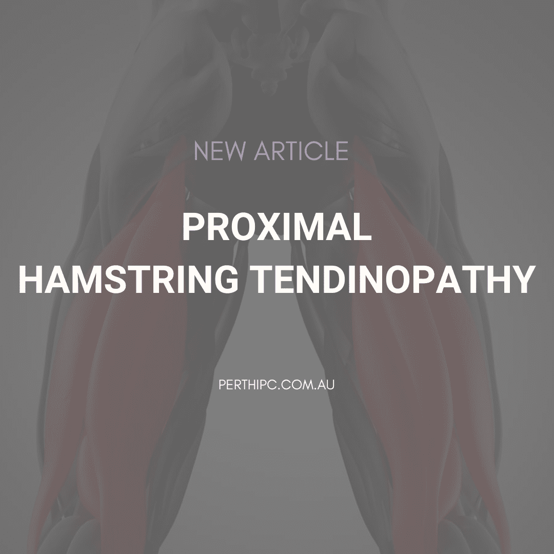 Proximal Hamstring Tendinopathy - Perth Injury & Pain Clinic